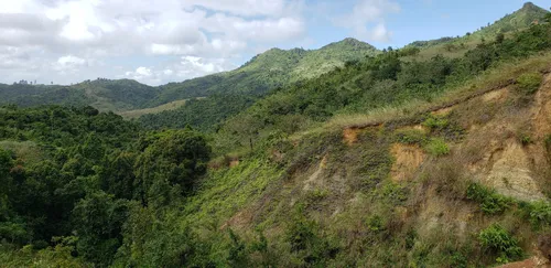 10 Best Trails and Hikes in Tanay | AllTrails