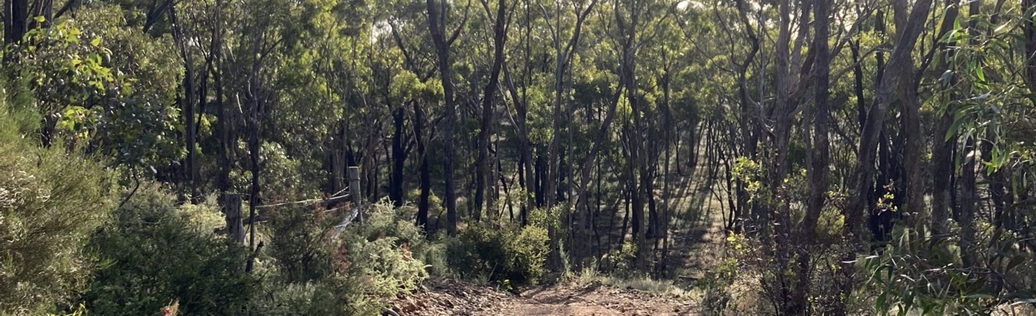 West Bendigo Bush Circuit, Victoria, Australia - 31 Reviews, Map ...