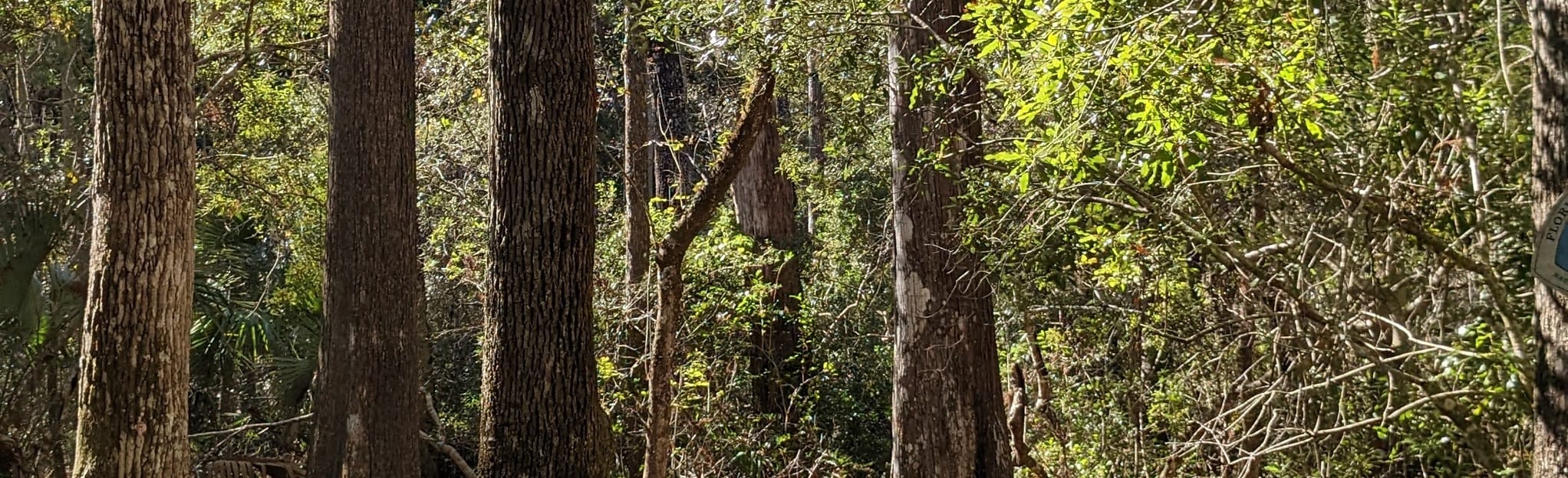 Wakulla River: FL 365 to Wakulla River City Park: 8 Reviews, Map ...