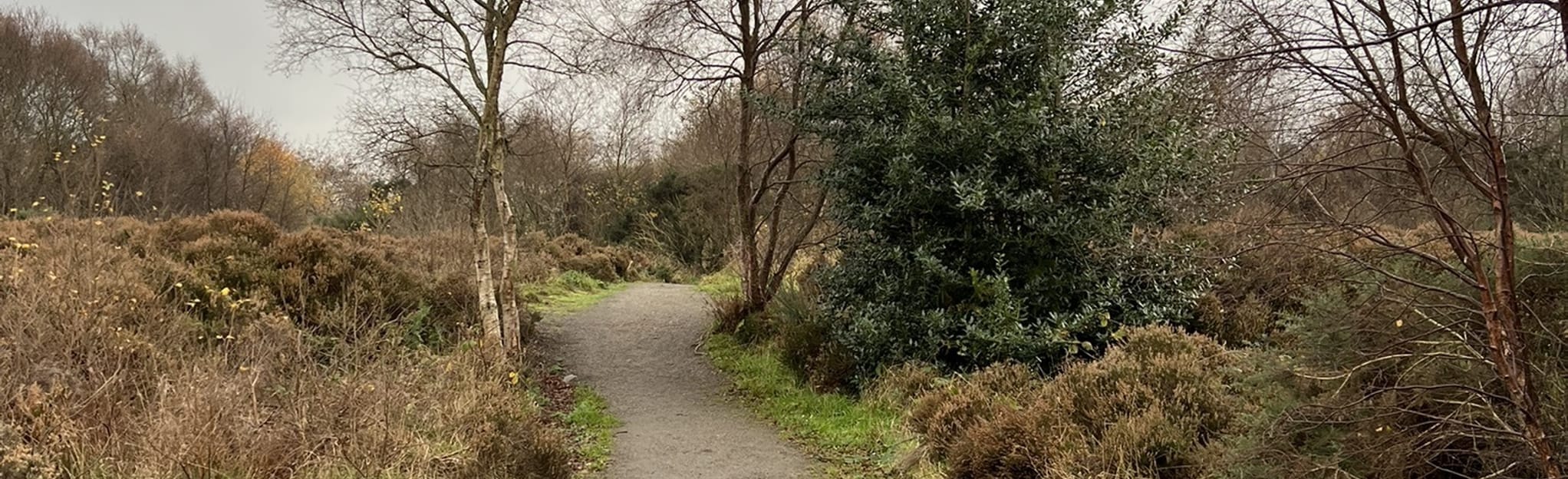 Portlethen Moss Circular, 10 Fotos - Aberdeen, Schottland | AllTrails