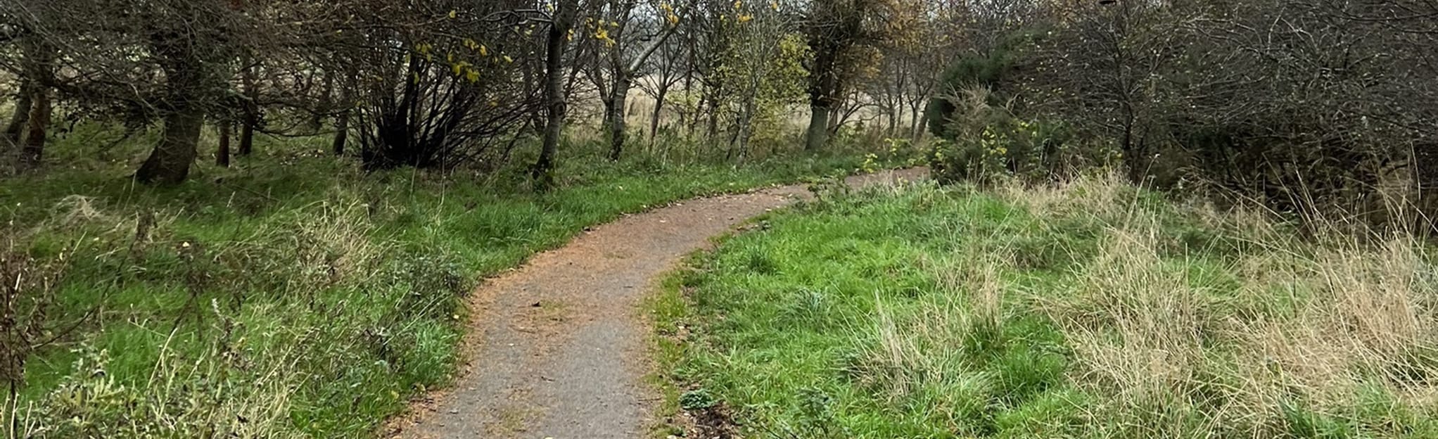 Bruntland Road and Portlethen Moss, Aberdeen, Scotland - 3 Reviews, Map ...