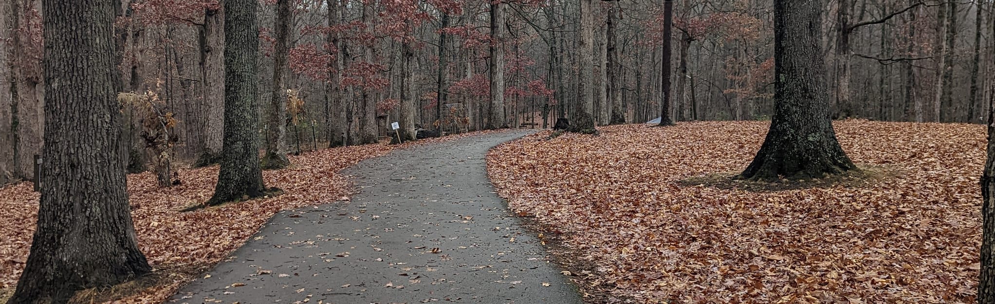 Indian Fort Theatre Trail : 18 Reviews, Map - Kentucky | AllTrails