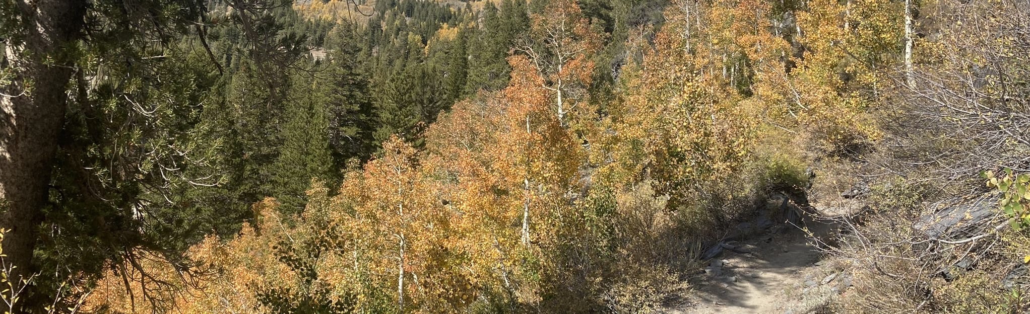 Agnew Lake, Gem Lake, Waugh Lake and Clark Lakes Loop Trail: 73 Reviews ...