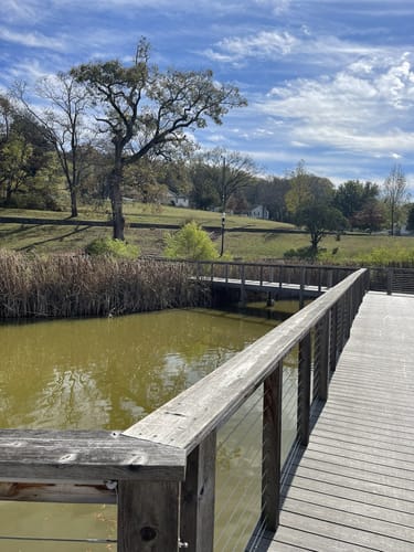 Best Hikes and Trails in East Lake Park | AllTrails