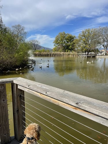 Best Hikes and Trails in East Lake Park | AllTrails