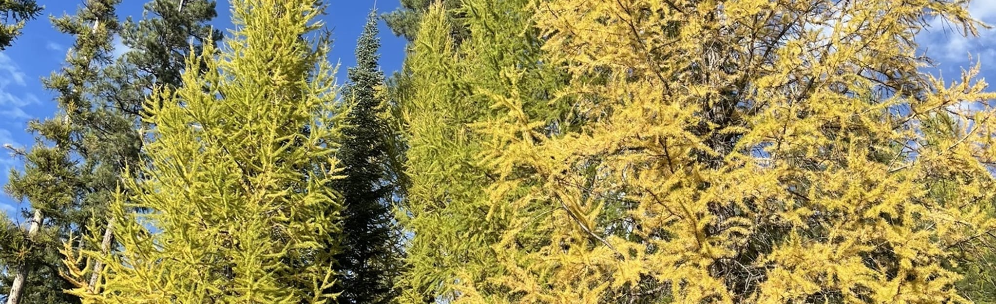 Metolius Preserve Grand Tour: 22 Reviews, Map - Oregon | AllTrails