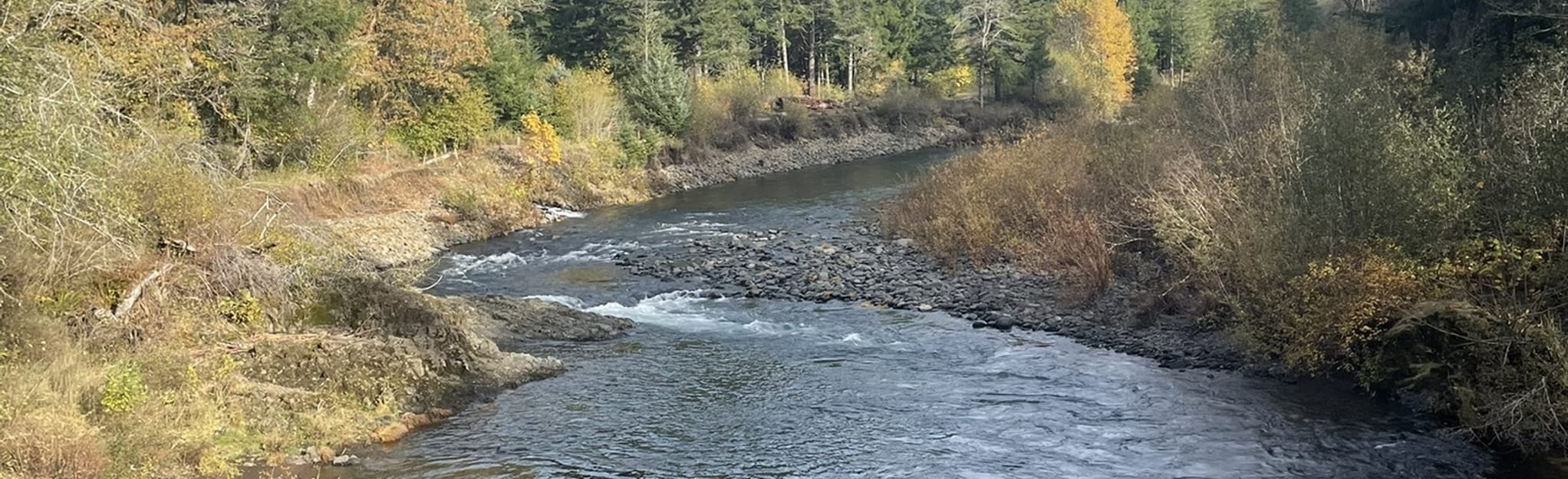 Wilson River Trail, Oregon - 598 Reviews, Map | AllTrails