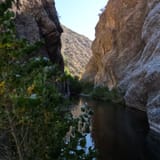 Piru Creek to Lake Piru, California - 19 Reviews, Map | AllTrails