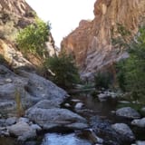 Piru Creek to Lake Piru, California - 19 Reviews, Map | AllTrails