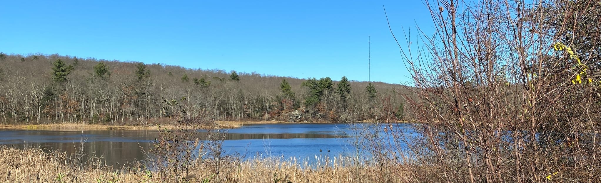 Upper Hop River State Park Trail: 357 Reviews, Map - Connecticut ...