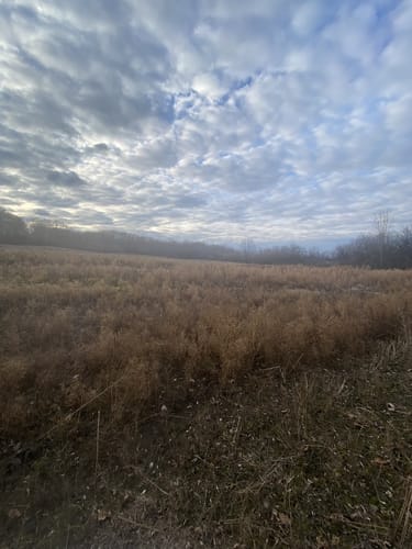 Best Hikes and Trails in Prairie Wolf Park | AllTrails