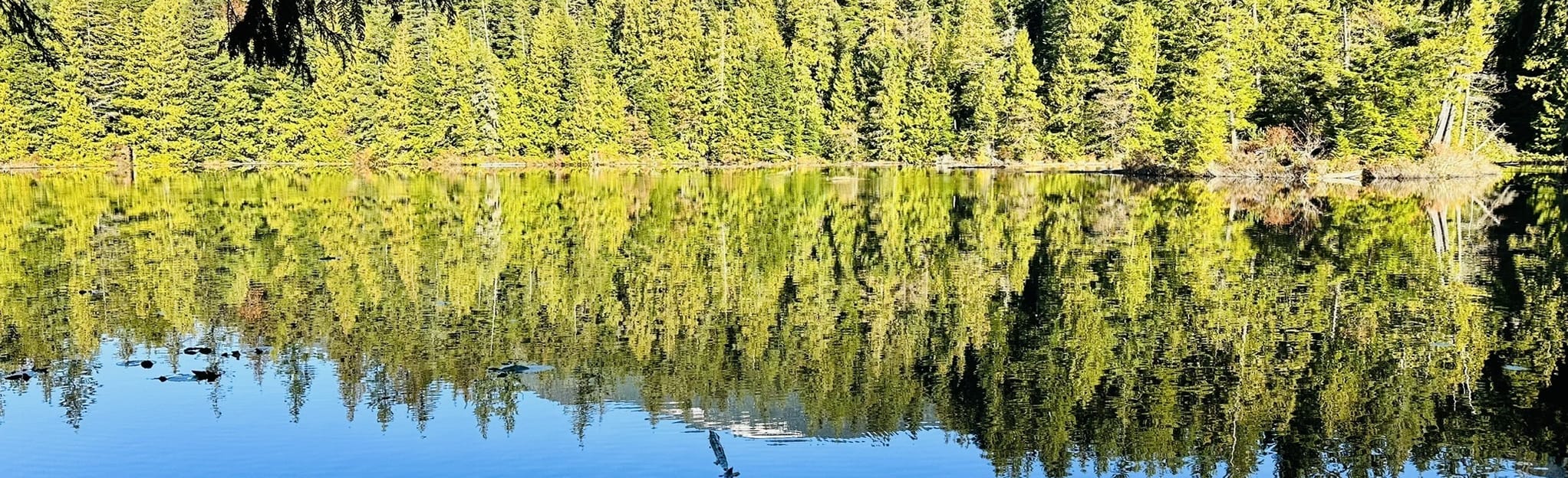 Alice Lake and Stump Lake Loop, British Columbia, Canada - 45 Reviews ...