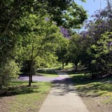 Cabbage Tree Creek, Queensland, Australia - 97 Reviews, Map | AllTrails