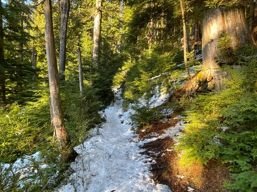 2023 Best 10 Views Trails in Fromme Mountain Trail Network | AllTrails