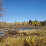 Amisk Wuche Trail, Alberta, Canada - 434 Reviews, Map | AllTrails