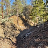 Gin Lin Mining Trail, Oregon - 52 Reviews, Map | AllTrails