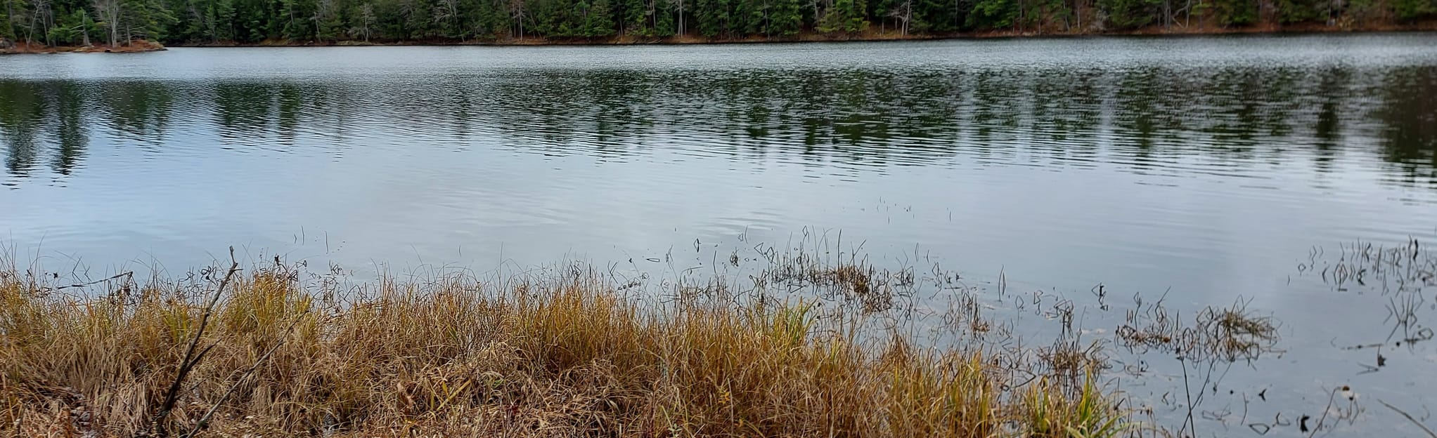 Doe Lake Trail, Ontario, Canada - 332 Reviews, Map | AllTrails