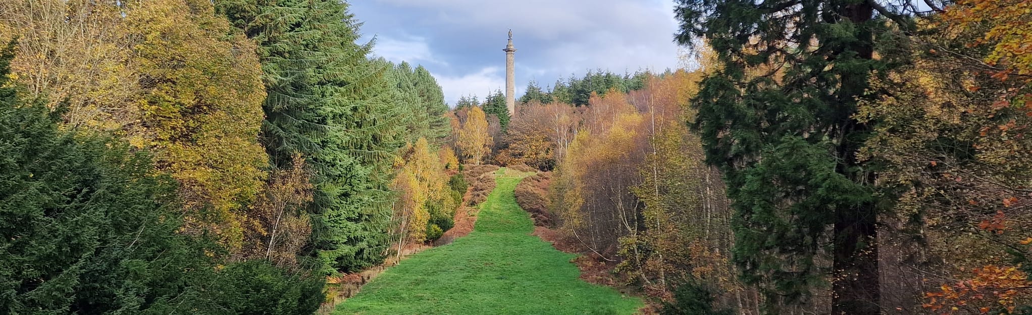 Gibside Circular, Tyne and Wear, England - 11 Reviews, Map | AllTrails