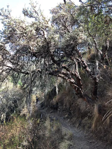 Best Hikes and Trails in Tunari National Park | AllTrails