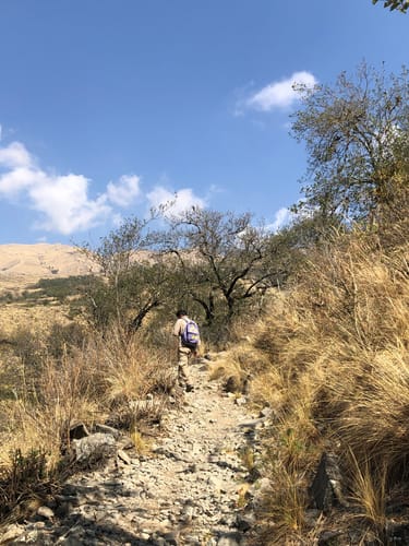 Best Hikes and Trails in Tunari National Park | AllTrails