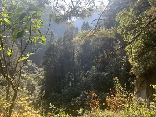 Best Hikes and Trails in Ecoparque Chalma Tetlalcolulco | AllTrails