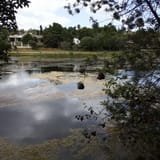 Majik Forest Walking Trail, Western Cape, South Africa - 189 Reviews ...