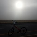 Majik Forest Walking Trail, Western Cape, South Africa - 189 Reviews ...