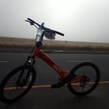 Majik Forest Walking Trail, Western Cape, South Africa - 189 Reviews ...