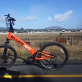 Majik Forest Walking Trail, Western Cape, South Africa - 189 Reviews ...