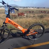 Majik Forest Walking Trail, Western Cape, South Africa - 189 Reviews ...