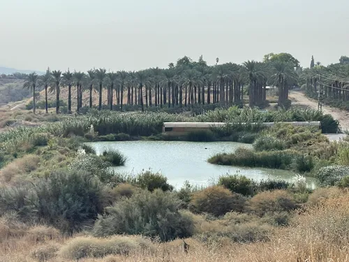 Best Hikes and Trails in Ge'on HaYarden Kfar Ruppin Reserve | AllTrails