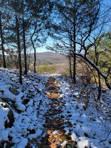 Best Waterfall Trails in Mark Twain National Forest | AllTrails