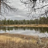 High Country Pathway, Michigan - 41 Reviews, Map | AllTrails