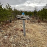 High Country Pathway, Michigan - 41 Reviews, Map | AllTrails