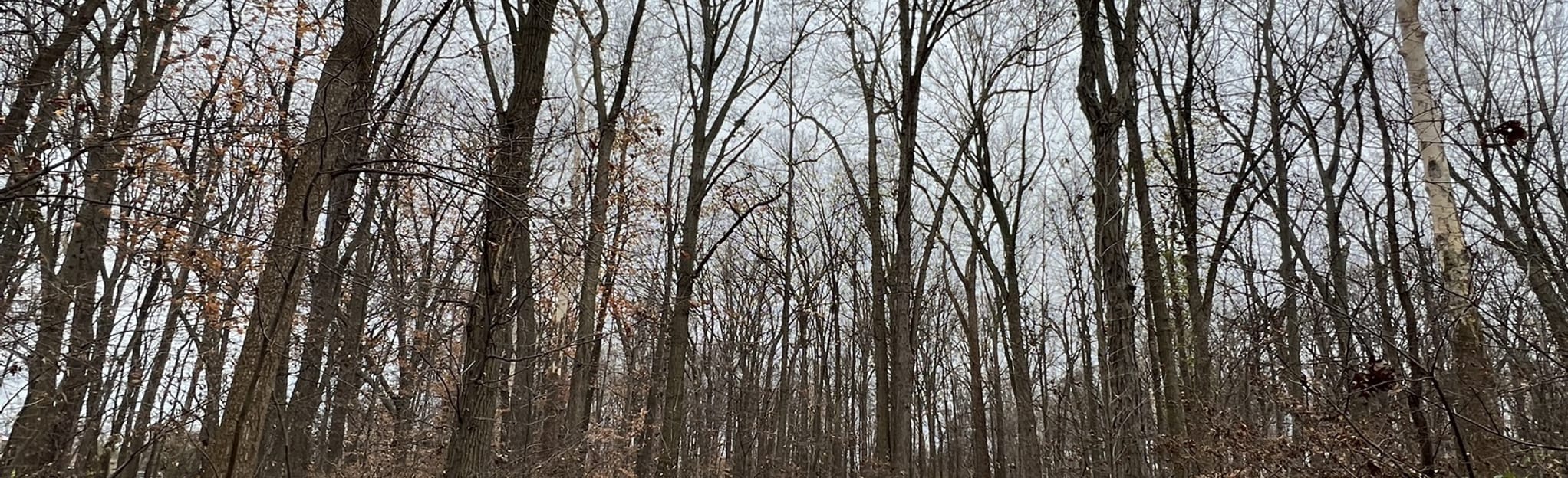 Red Oaks Nature Center, Michigan - 418 Reviews, Map | AllTrails