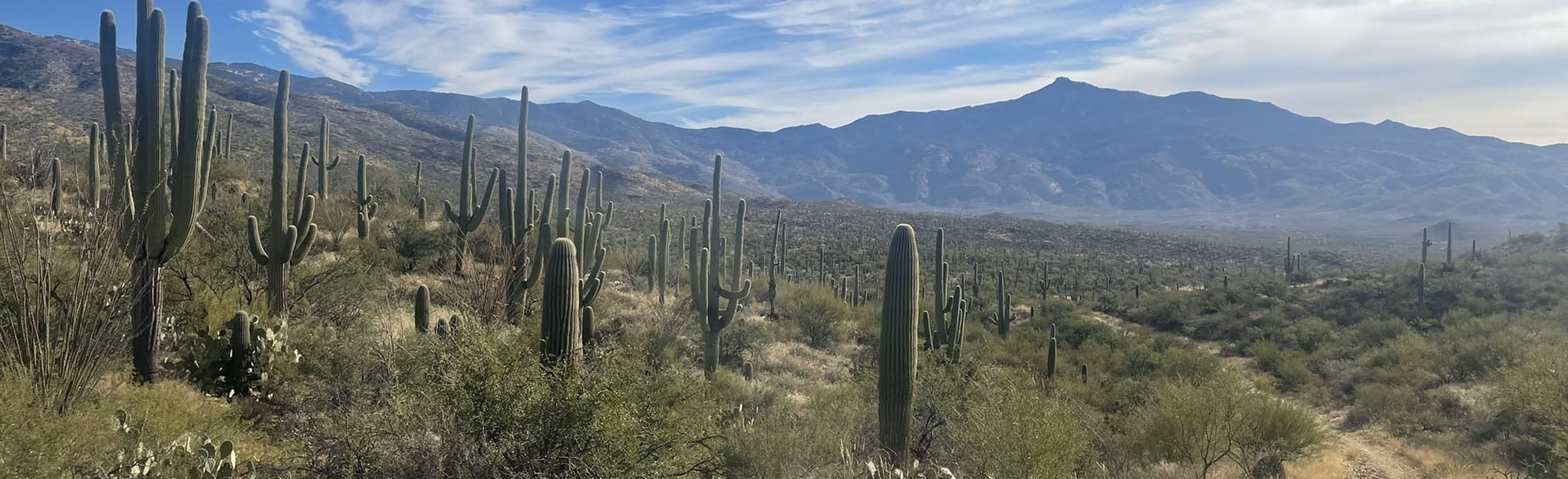 Hope Camp, Arizona - 455 Reviews, Map | AllTrails