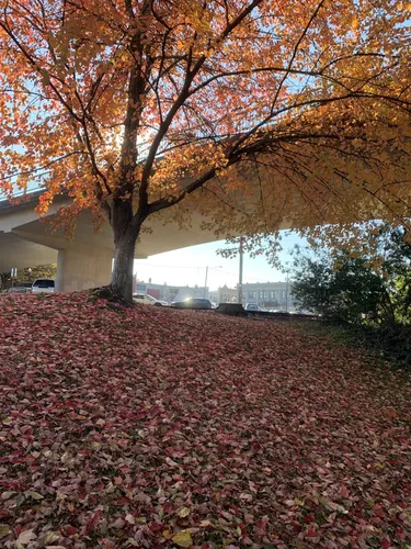 Best Hikes and Trails in Monteith River Park | AllTrails