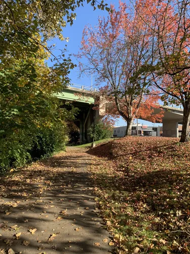 Best Hikes and Trails in Monteith River Park | AllTrails