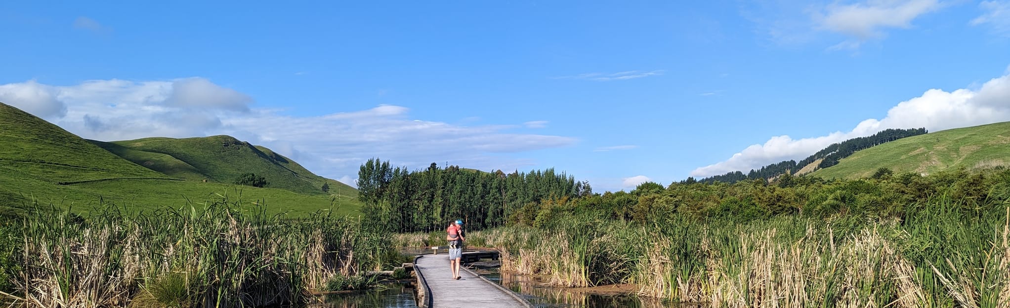 Pekapeka Wetland Walk, Hawke's Bay, New Zealand - 11 Reviews, Map | AllTrails