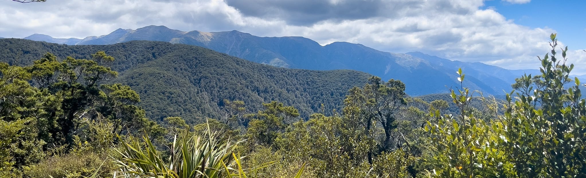 Blue Range Hut, Te Mara, and Kiriwhakapapa, Wellington, New Zealand ...