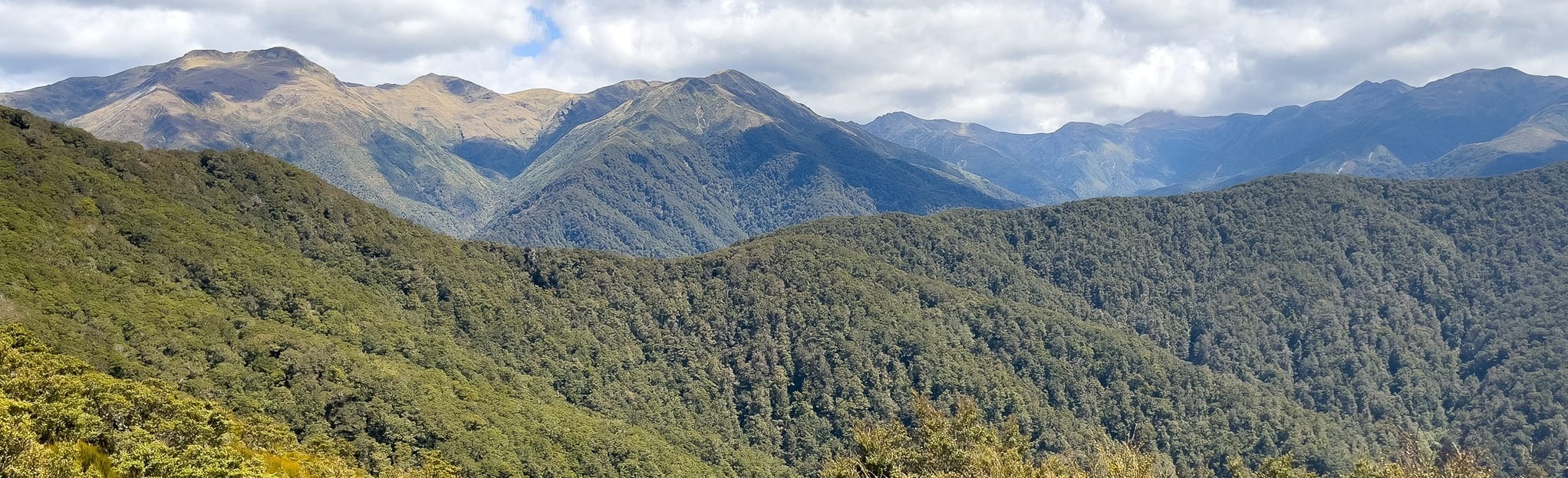 Blue Range Hut to Cow Creek Hut, Wellington, New Zealand - Map, Guide ...