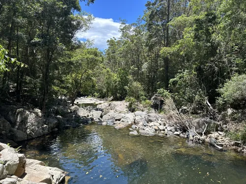 10 Best Hikes and Trails in D’Aguilar National Park | AllTrails