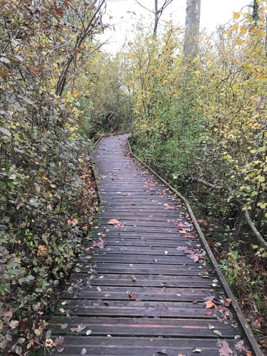 Best Hikes and Trails in Saint-Louis | AllTrails