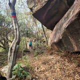 Muningi Gorge, Gauteng, South Africa - 106 Reviews, Map | AllTrails