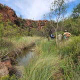 Muningi Gorge, Gauteng, South Africa - 105 Reviews, Map | AllTrails