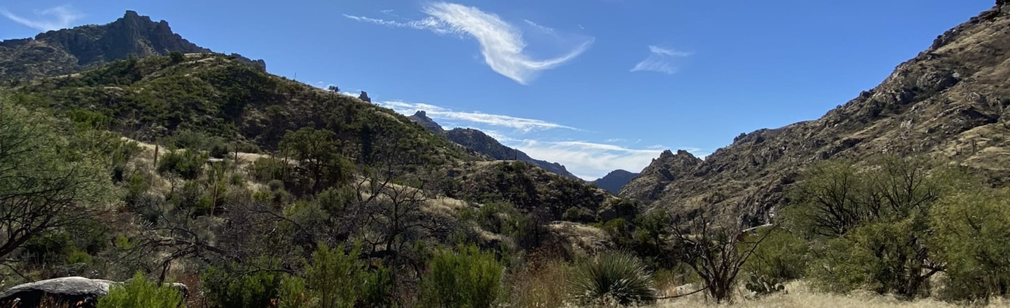 Hutch's Pool via West Fork Sabino Trail FS #24: 199 Reviews, Map ...