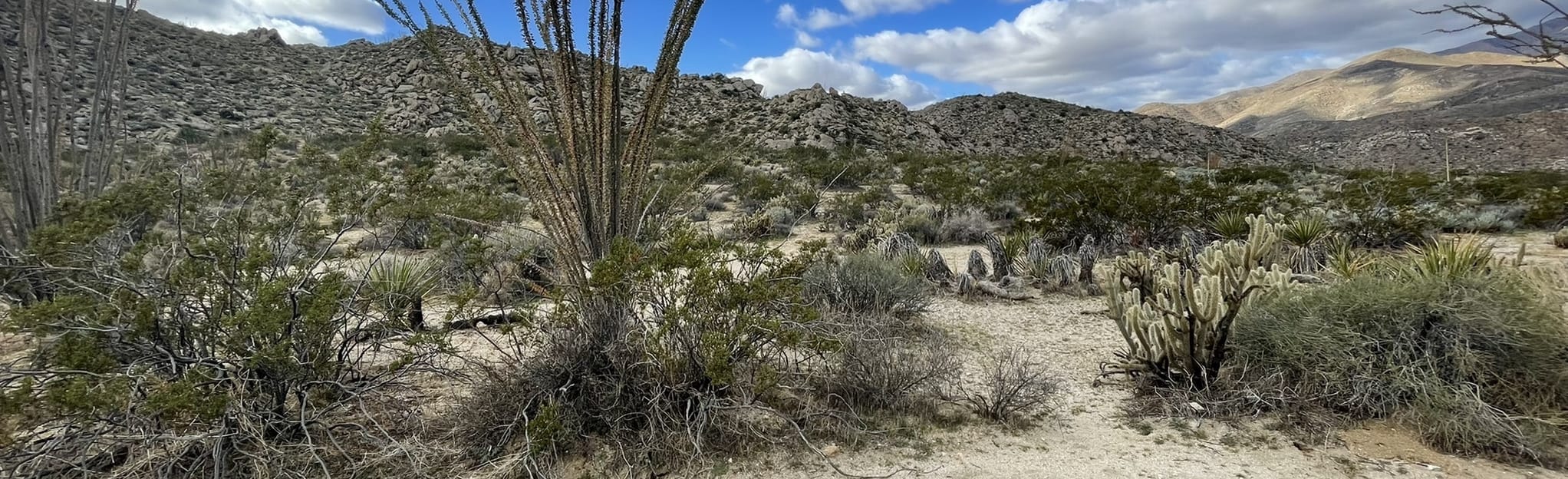 Foot and Walker Pass, California - 21 Reviews, Map | AllTrails