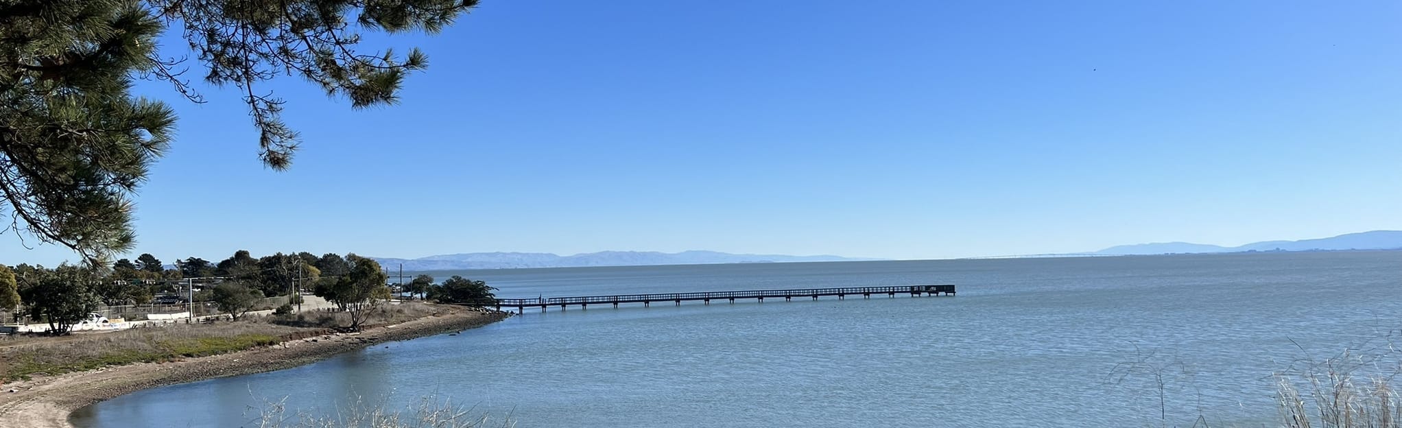 Candlestick Point State Recreation Area Loop: 33 Reviews, Map ...