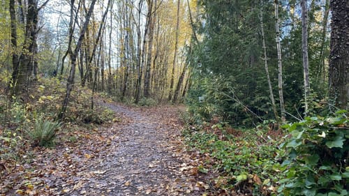 Best Hikes and Trails in Forbes Valley Wetlands | AllTrails