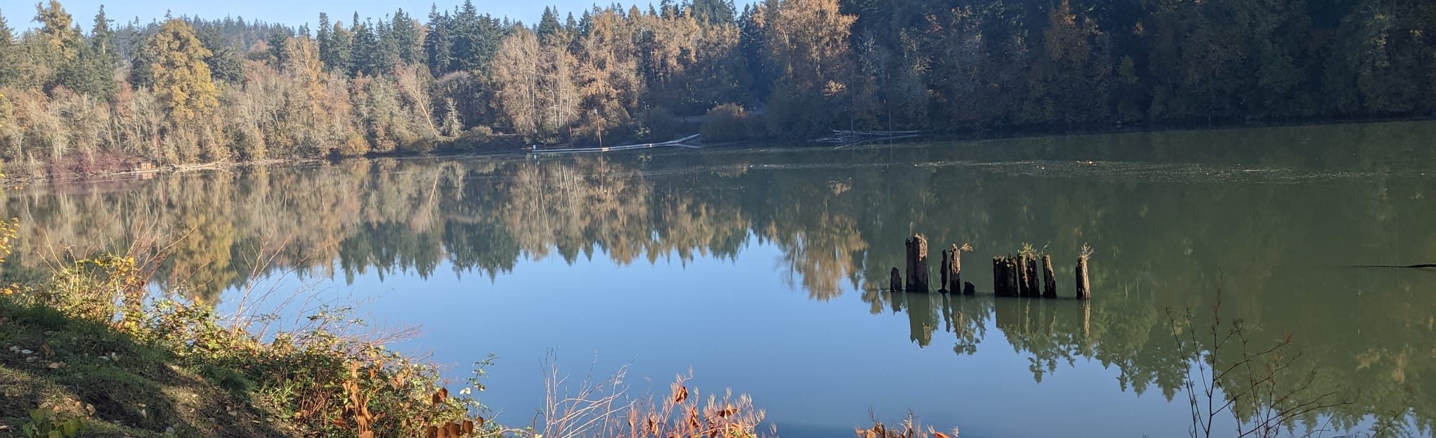 Canby Logging Road Trail, Oregon - 122 Reviews, Map | AllTrails